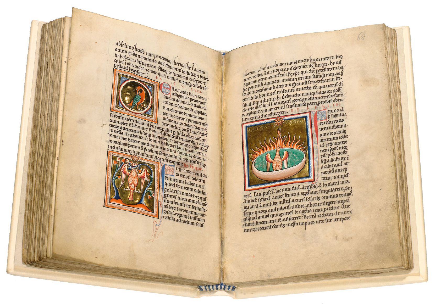 Bestiary | Jodi La Coe, R.A.